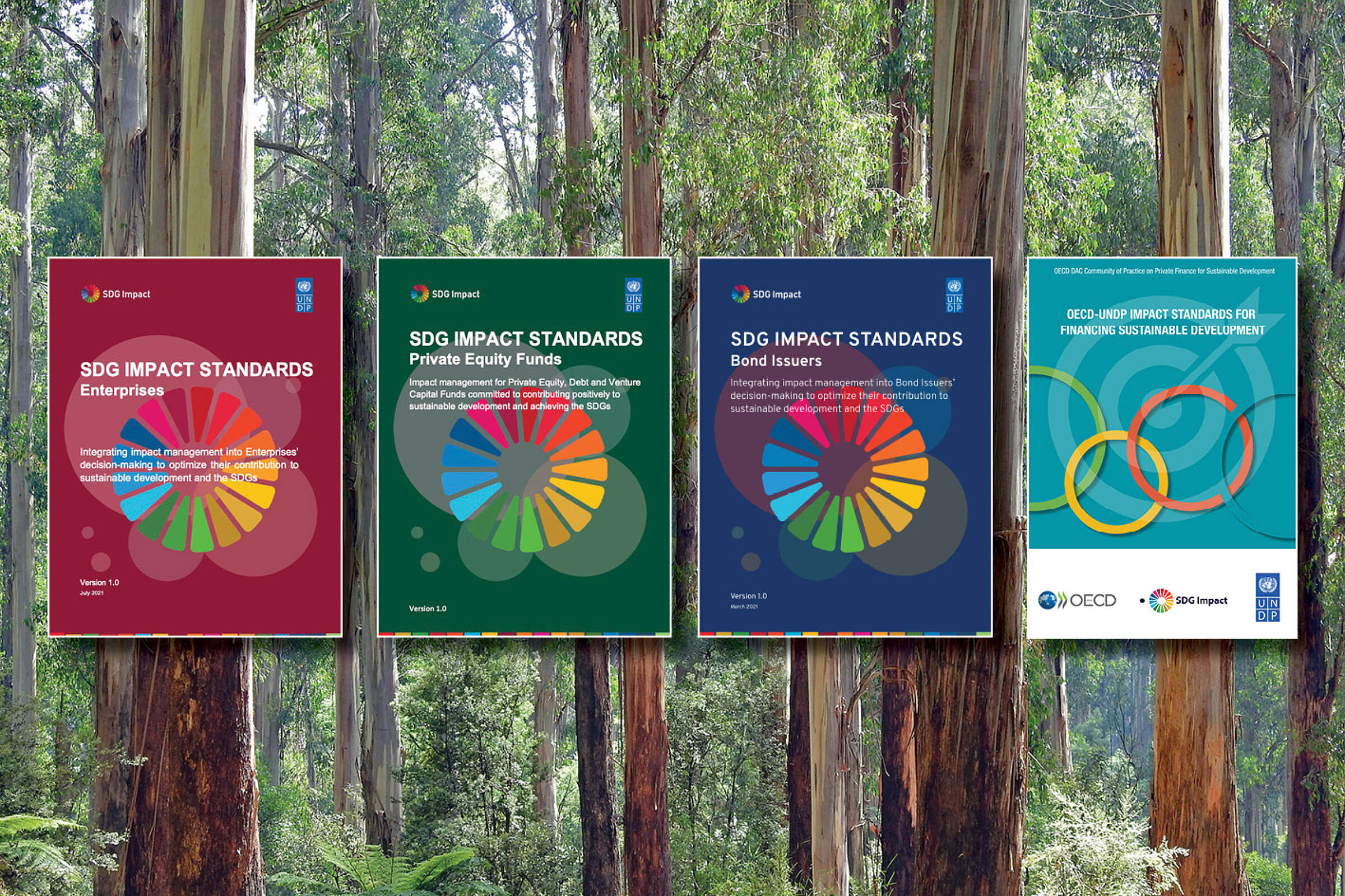 Embedding sustainability using the SDG Impact Standards - Think Impact