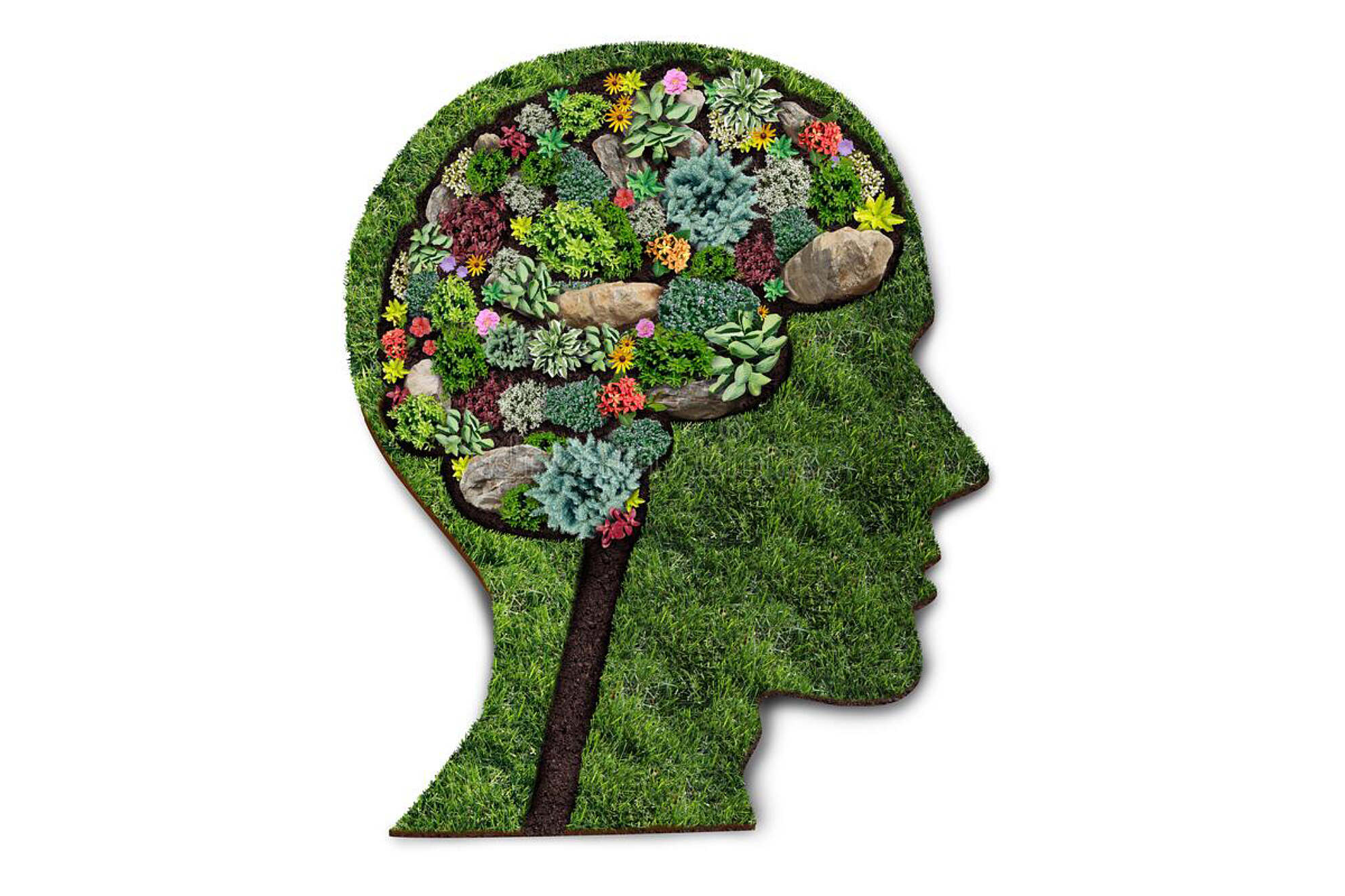 Towards sustainable development: from the inside out - Think Impact