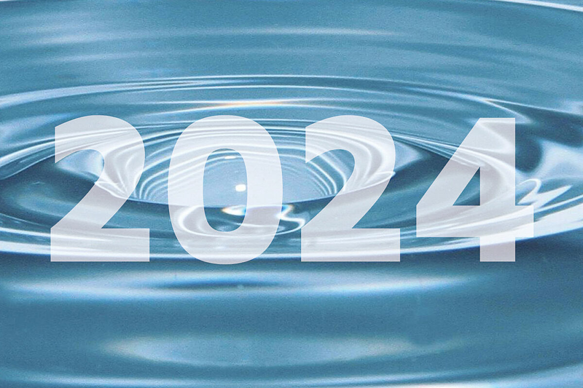 What inspired us in 2024? - Think Impact