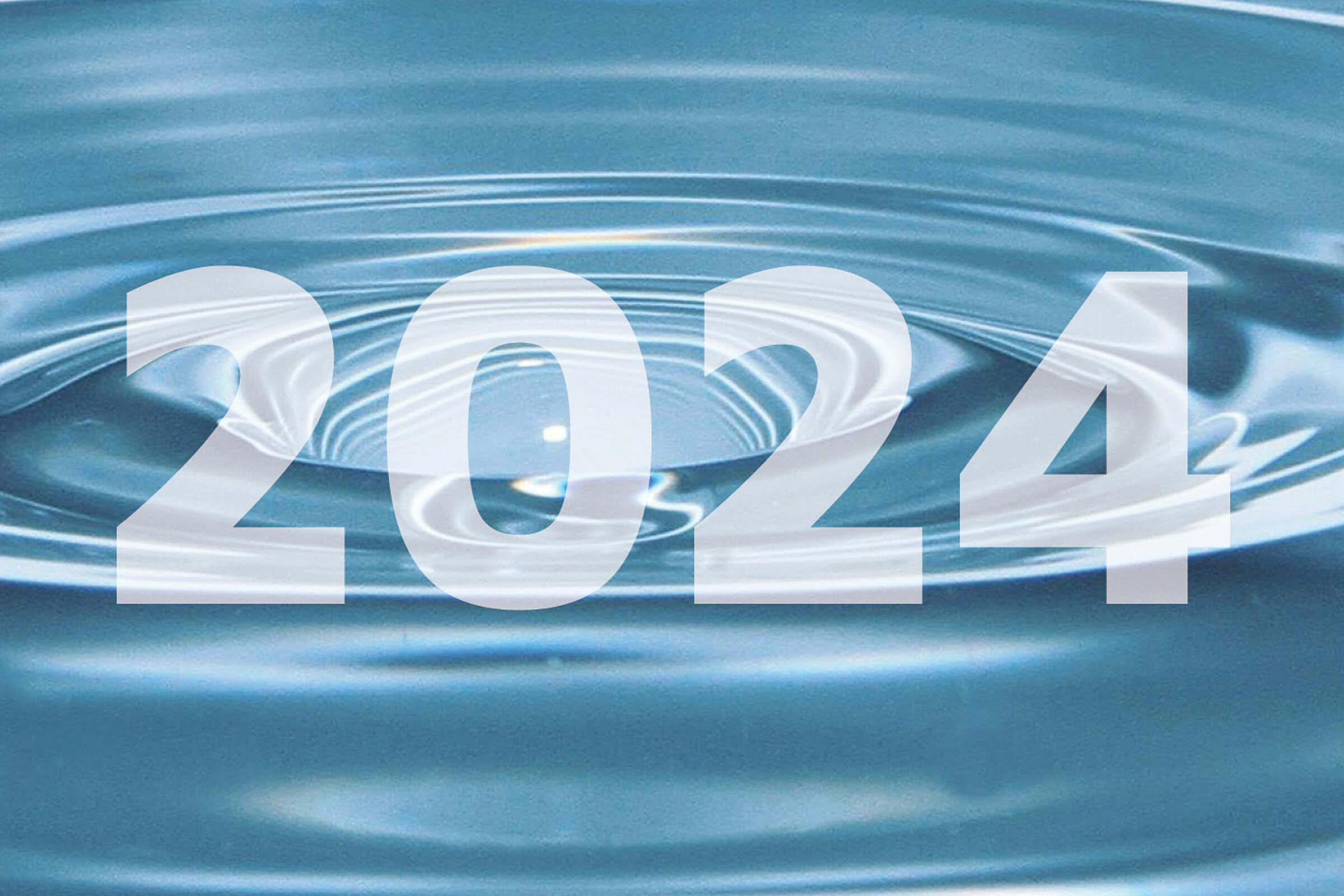 What inspired us in 2024? - Think Impact